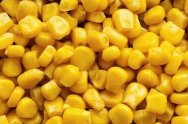 ¿Cómo hacer humitas de choclo chilenas? Receta clásisa y deliciosa del ...